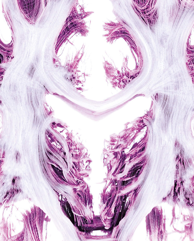 Preis des Bundespräsidenten für Technik und Innovation | Deutscher ...